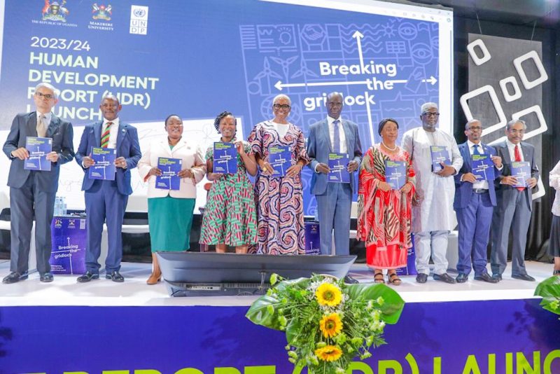 PM Launches UN Human Development Report – Office of the Prime Minister ...